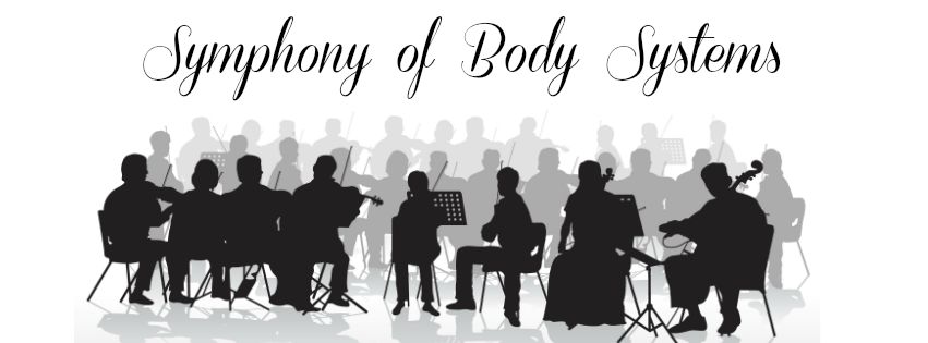 Symphony of Body Systems