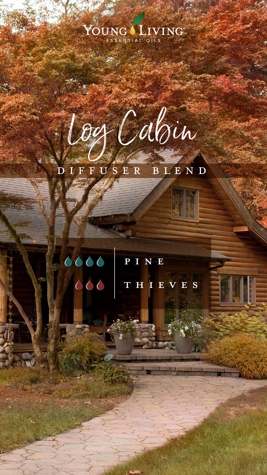 Log-cabin